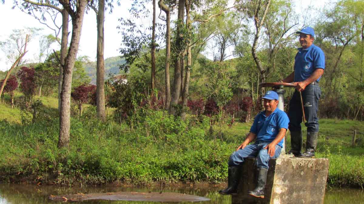 Blue Communities in Latin America: Solidarity and Self Determination ...